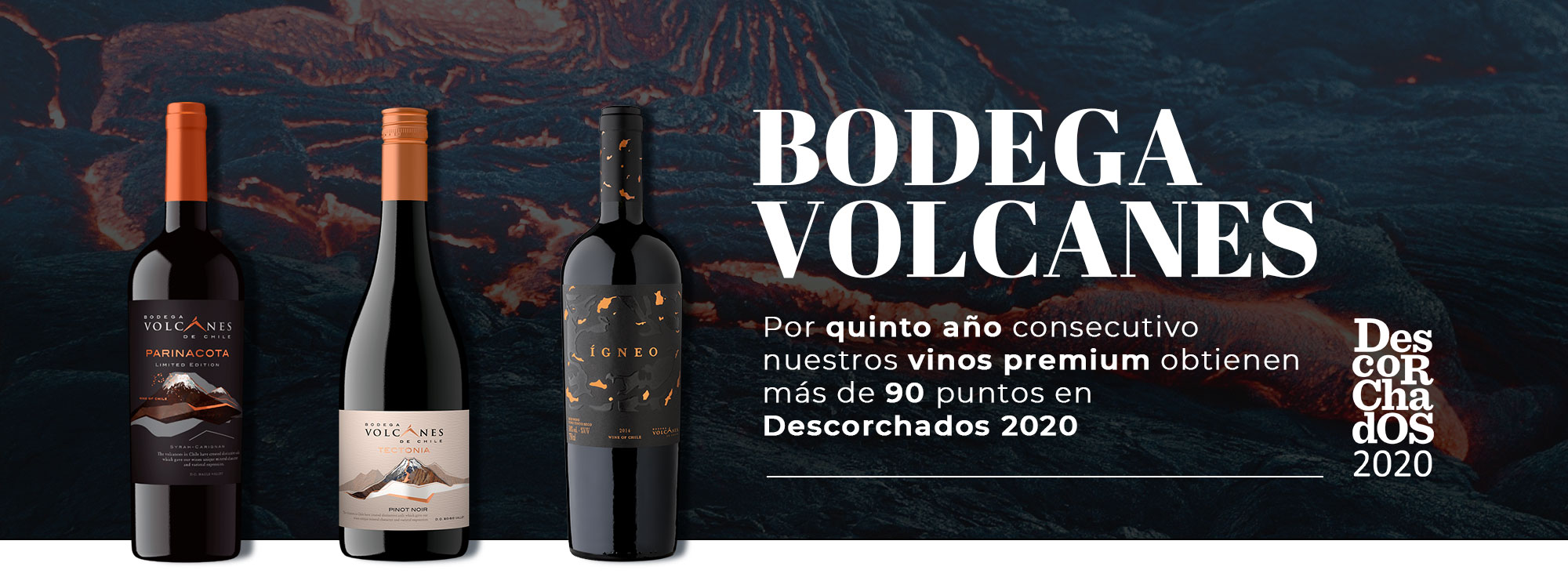WineCo Venta de Vinos y Licores del Mundo en Colombia